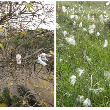 Cynthia Katz | The Umbrella Arts Center